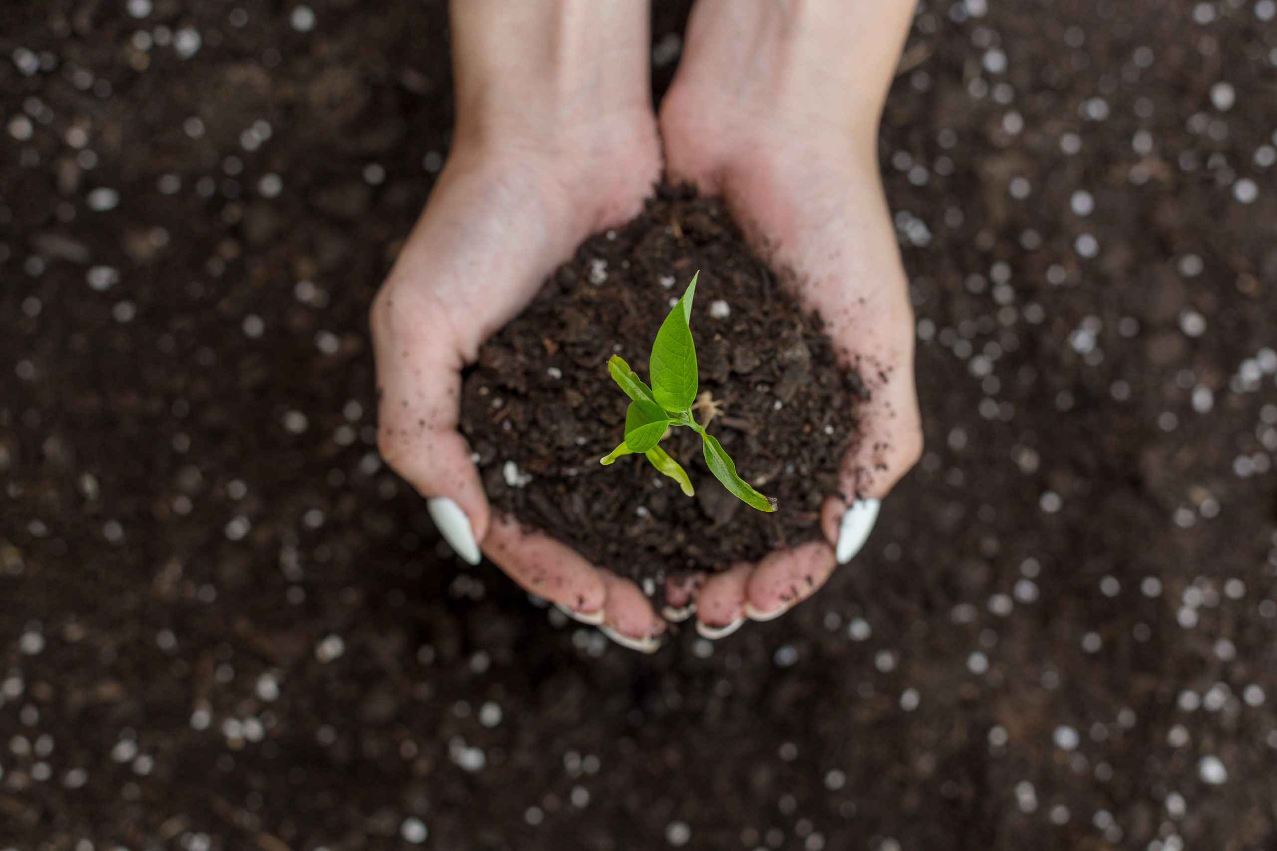 Sustainable Agricultural Practices | FertigHy